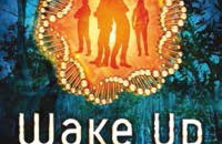 Wake Up Missing — Stone Soup